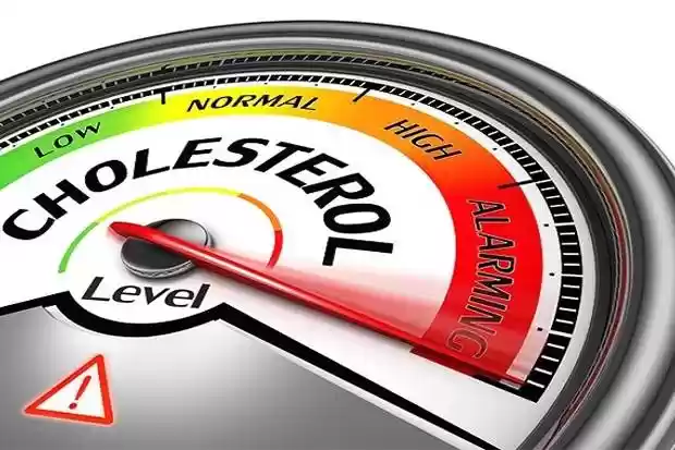 Mengenal Kolesterol dan Fungsinya bagi Tubuh Berita Riau Terkini Online ...