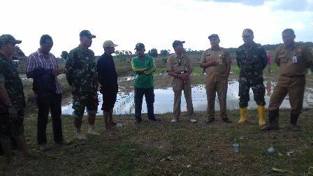 Danramil 03/Tempuling Tanam Padi Unggul Jenis IR 42 Serentak Berita ...